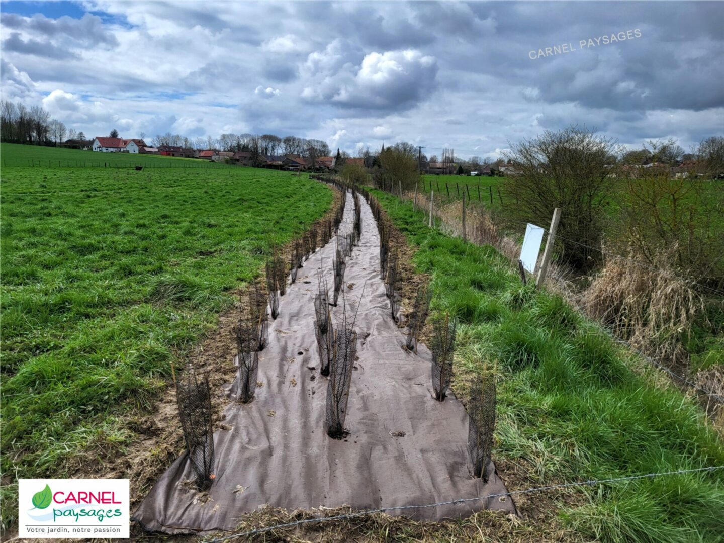 HAIE CHAMPETRE - Plantation d’une haie champêtre