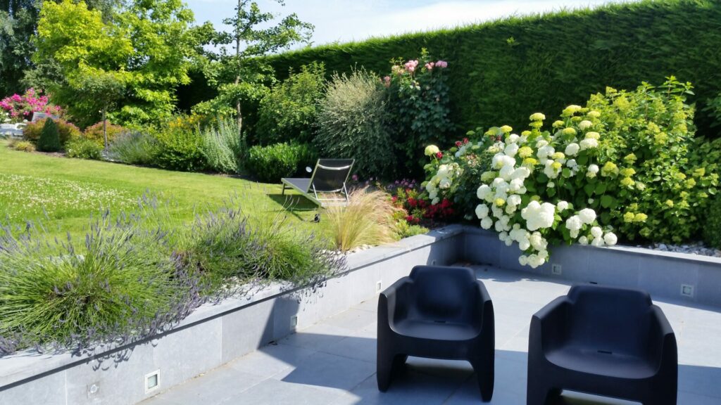 6 arbustives d'été captivant dans le Nord de la France